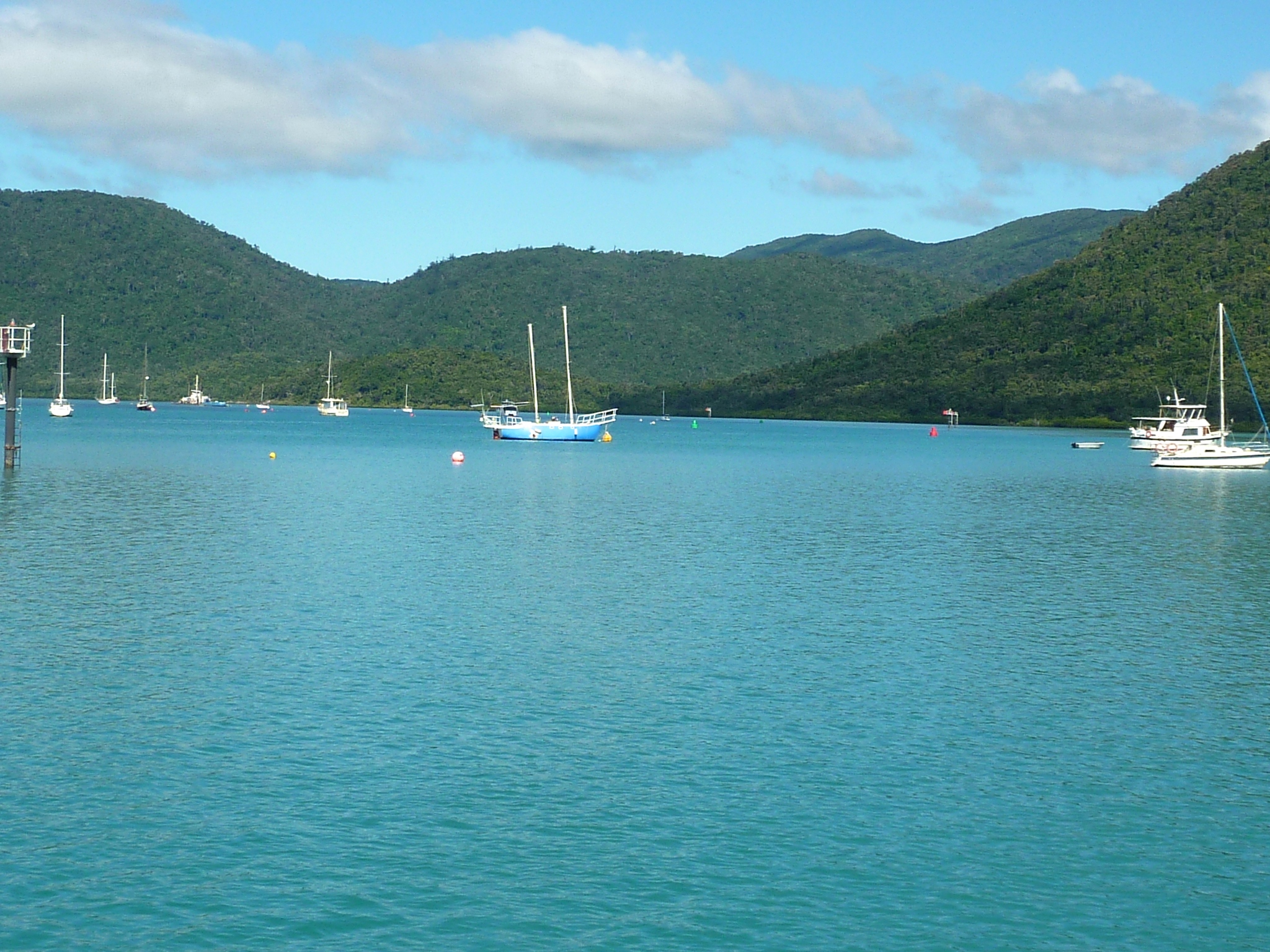 Fishing from Shute Harbour Jetty – Life of Riley – on whatever